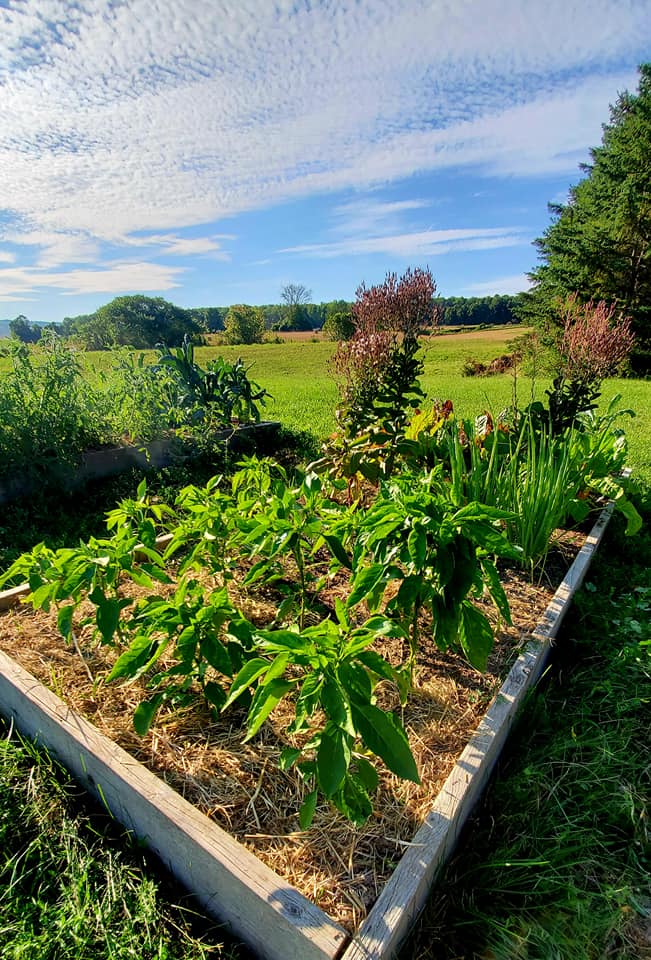 RETREATS – Calm Creature